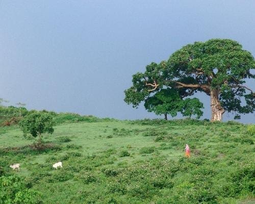 Viajes a Awasa - Encuentra el viaje de tus sueños | Viajes.com