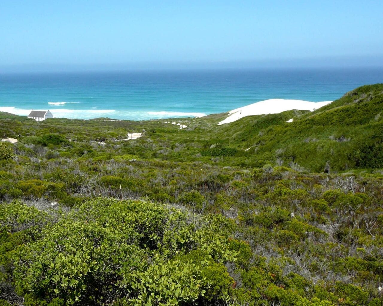 Viajes a Reserva Natural De Hoop - Encuentra el viaje de tus sueños ...